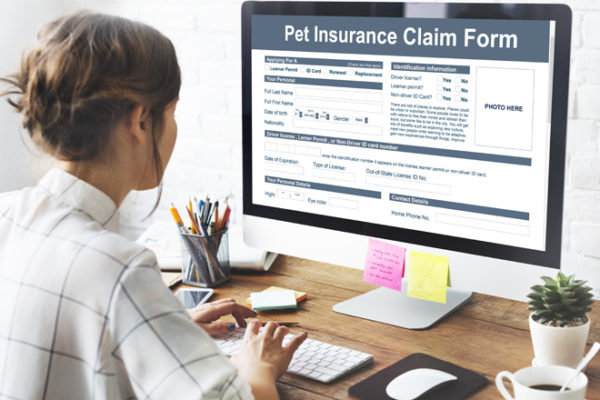 Pet Insurance Plans: Everything You Should Know - Comparisonsmaster
