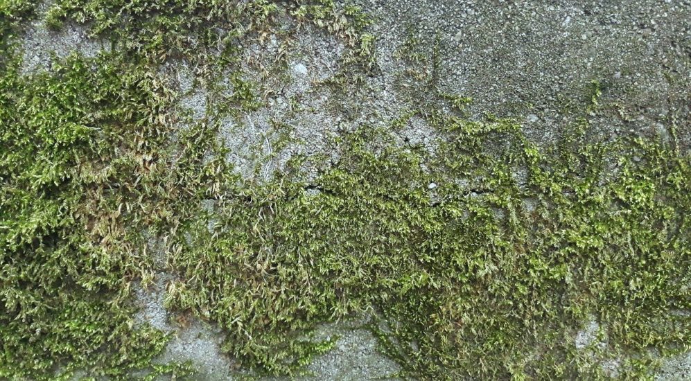 Scientists Make Groundbreaking Fabric Using 3D Technology